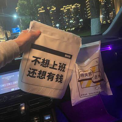 现货速发车载垃圾袋黏贴式汽车车用垃圾桶置物袋车内便捷式清洁袋