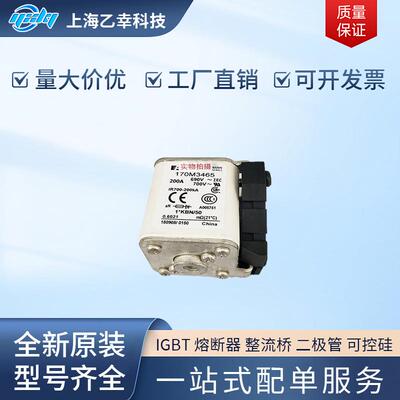 巴斯曼熔断器 170M3447 170M3448 170M3458 170M3459 170M3460