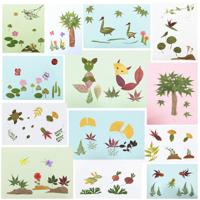 树叶贴画真植物标本材料包幼儿园儿童手工作业亲子活动成品便宜