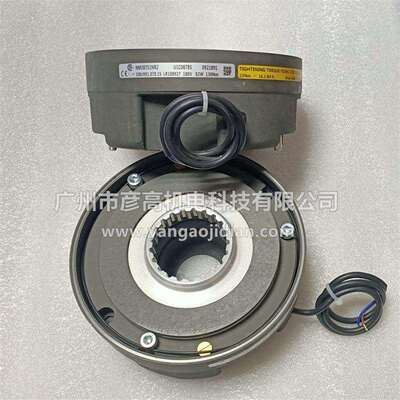 NM38753NR2 100/891.070.1S LR108927 180V 82W 200NM科尼刹车器