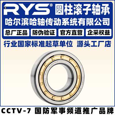 RYS 哈轴传动  NJ NUP NU RNU N 2315 2316 2317 E M EM 圆柱滚子