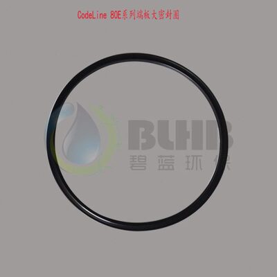 工业纯水中水处理80A80R80L80E80S RO反渗透膜壳封头端板大密封圈