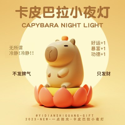 卡皮巴拉小夜灯闺l蜜男生送女生女朋友可爱生日礼物大学同学毕业