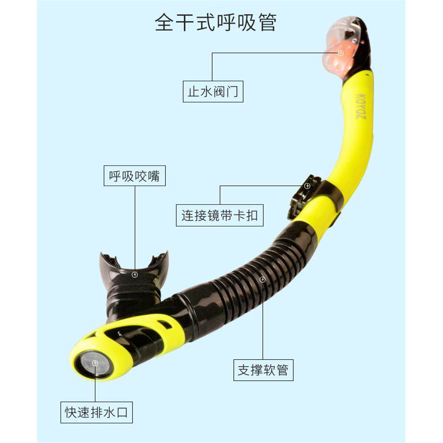 浮潜三宝套装潜水镜全干式呼吸管防雾近视面罩护鼻水肺游潜水装备
