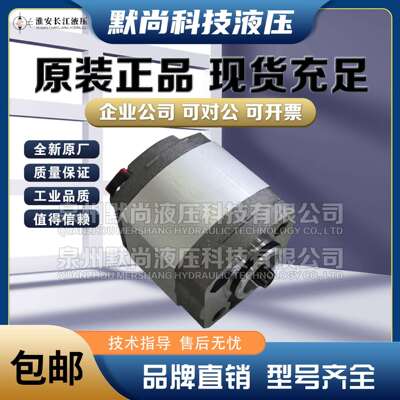 淮安长江齿轮泵RGP-F106/F111/F113/F116/F201/F202/F203精装油泵