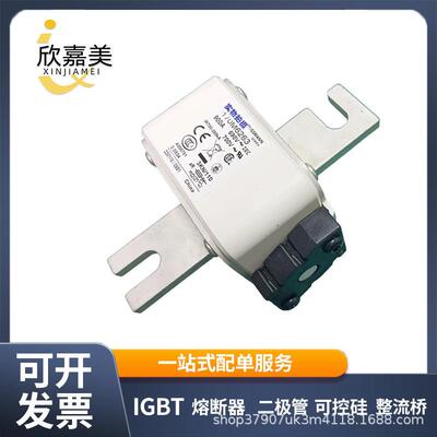 巴斯曼快速熔断器170M6258 170M6259 170M6260 170M6261 170M6262