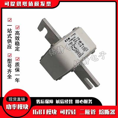 170M6198 170M6199 170M6200巴斯曼170M6201熔断器现货