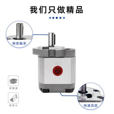 6高压轮油泵HGP-18A-F1R/2R/3齿R/4R/HGP-1A-F5R/R/R液压系统专用