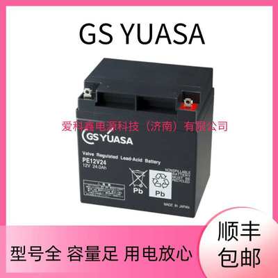 GSYUASA蓄电池 PE12V24 UPS直流屏免维护铅酸电池 12V24AH