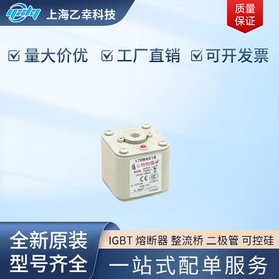 巴斯曼熔断器 170M4567 170M4568 170M4569 170M4608 170M4609