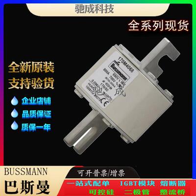 巴斯曼170M4068 170M4069 170M4108 厂家原装厂价直供 快速熔断器