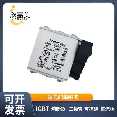 170M3469 170M3819快速熔断器 保险丝 电子元器件 量大价优