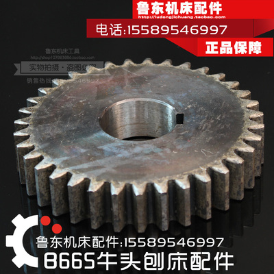 B665 牛头刨床配件 刨床齿轮 床身部分齿轮 35齿 模数4 外圆148