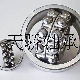 不锈钢调心球封闭式轴承S2206 S2207 S2208 S2209 S2210/2RS 优质