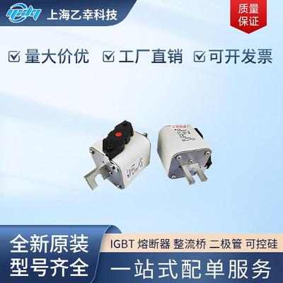 巴斯曼熔断器 170M6244 170M6245 170M6246 170M6247 170M6248