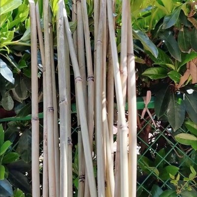 弓棚杆棚架支架菜地拱棚支架种菜小拱棚竹竿菜园搭架子爬藤架篱笆