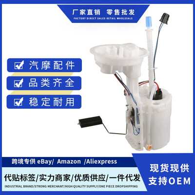 FP3111,P77067M,16112755082,CD11A064S适用MiniCooper燃油泵总成