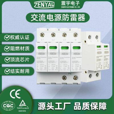 CE认证80kA电涌保护器防雷器2P交流浪涌保护器电源柜充电桩防雷器