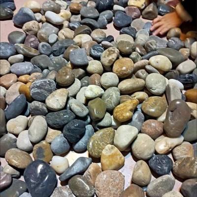 【折扣价】厂家五彩石子小鹅卵石鱼缸造景石庭院铺面铺路装饰小石