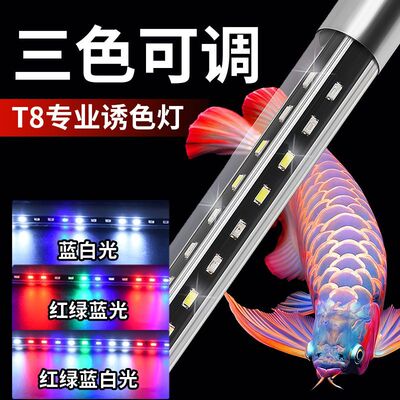 防水增艳龙鱼三色可调鱼缸灯