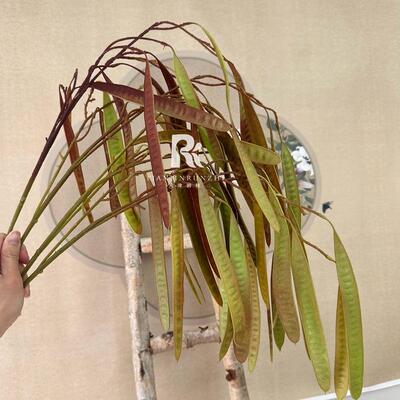 仿真绿手感仿豌豆荚假婚AL-1326花礼吊顶背景真垂感花艺植扁豆花