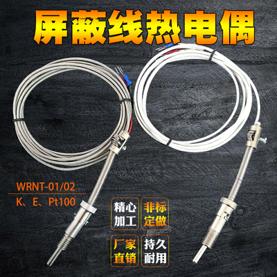 上海虹天Pt100 K E 型压簧式热电偶WRNT-01/02温度传感器 测温线