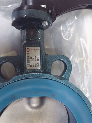 EBRO蒸汽高温蝶阀Z011-A 高温FPM氟橡胶阀座1.4408阀板