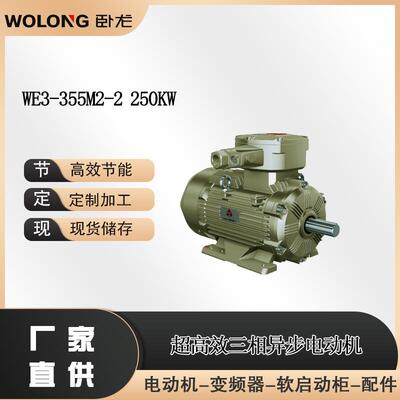 YE3WE3-355M2-2250W耐高温三相异步电动机