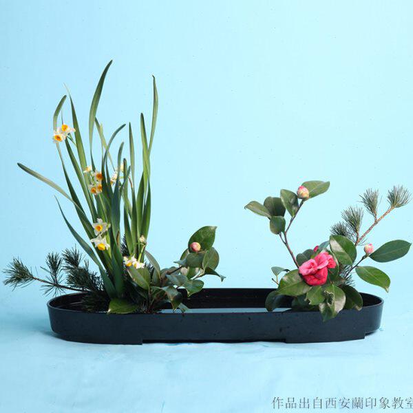 水盘花盆插花塑胶花器长款椭圆塑料剑山写景中华花艺培训小原流