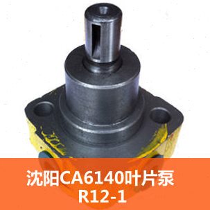 沈阳CA6140叶片泵 R12-1