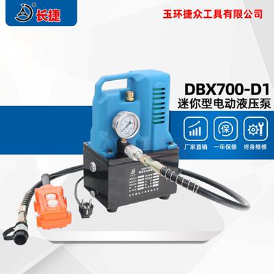 轻便型电动液压泵DBX700-D1 体积小压力70兆帕 迷你型泵站