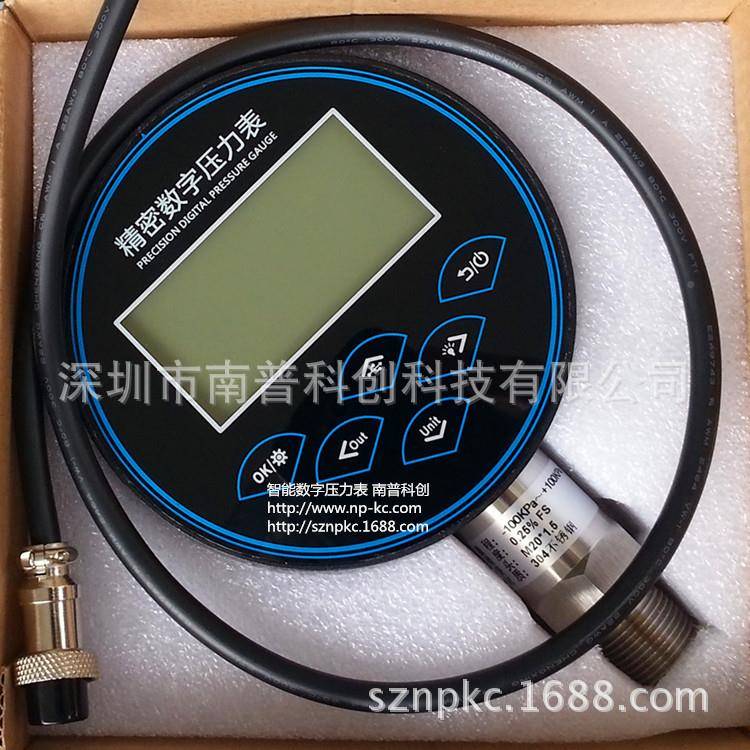 精密数字NPKC压力N100 RS4普85通讯 南科创厂P家表供应