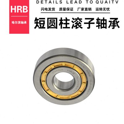HRB NU209 EM 32209H 哈尔滨轴承 短圆柱滚子轴承 速 精度