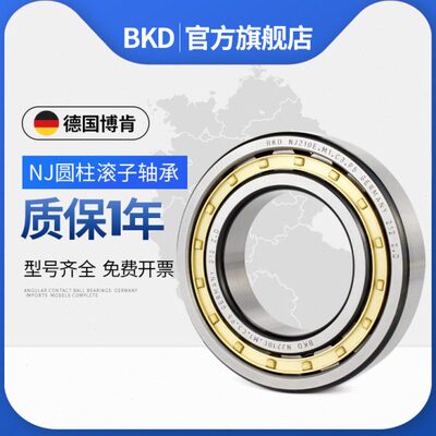 德国BKD进口轴承NJ413/414/415/416/417/418/419/420 EM P5 P4
