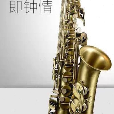 诺维斯.洛克中音萨克斯风降E调管拉丝黄磷铜乐初学者考级演奏