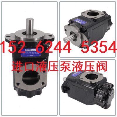 6 N DEI3尼逊S10T30RT106B220丹叶片泵R尼逊 C丹C1ON14  B  1