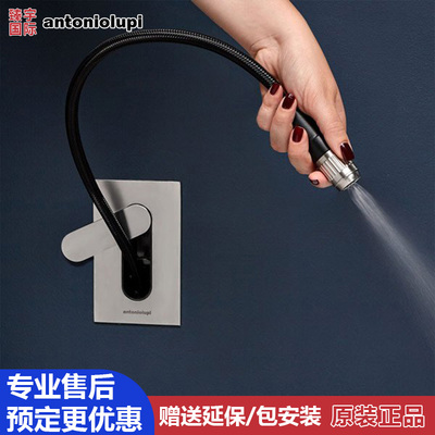 AntonioLupi安东尼奥卢比INTENSO嵌入式冲洗龙头喷枪CARTAINTENSO