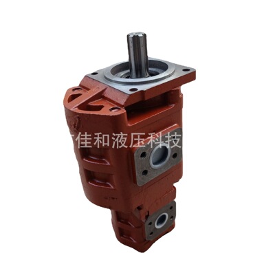 CBGJ3100/1032齿轮泵 洛阳压路机齿轮泵 球墨铸铁高压耐用液压泵