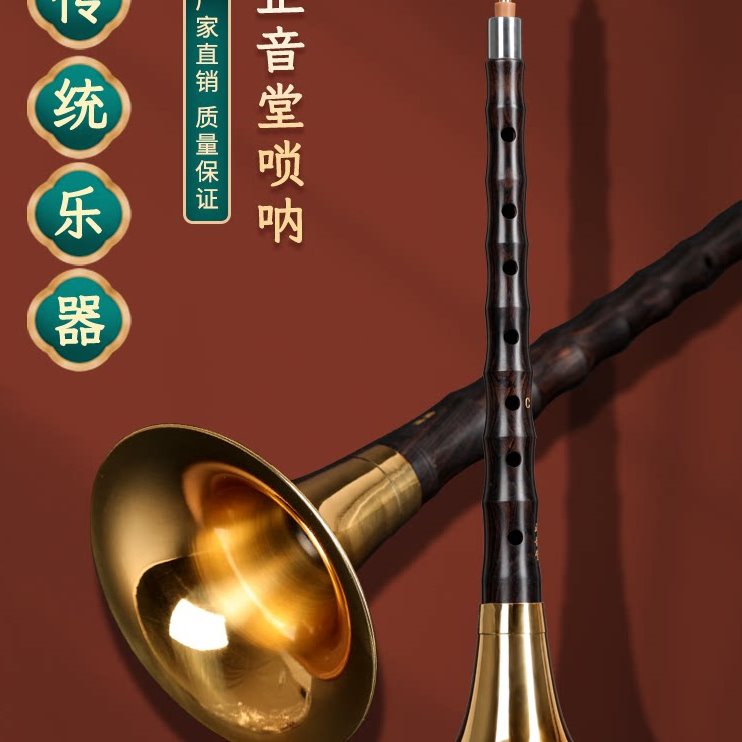 正音堂乌木唢呐乐器全套唢呐乐器初学者专业演奏型专业唢呐喇叭
