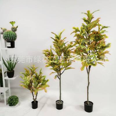 直销仿真变叶树绿植假植物室内装饰落地摆件新品洒金榕