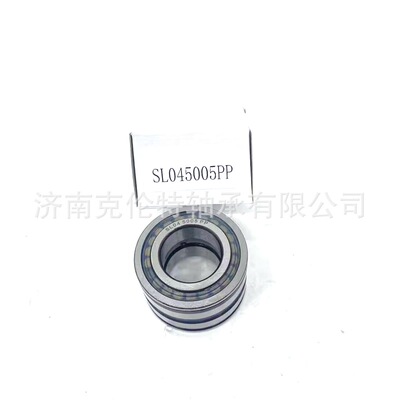满装圆柱滚子轴承SL045005PP轴承非标异形轴承
