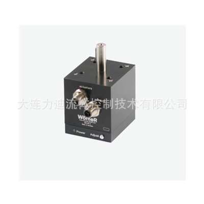 供应德国Worner托盘制动DBS-240-09-EW-S100 阻尼器