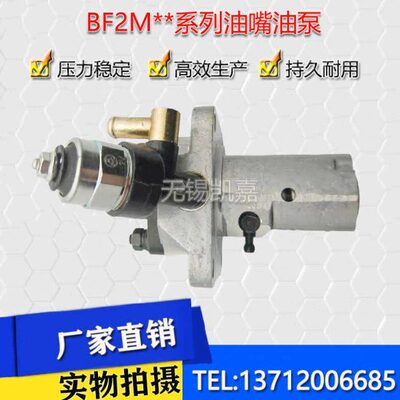 油嘴油泵BFG2M75D BF2M75D BFG2K75 BF2M75  BF2M**系列喷油泵