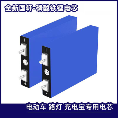 全新国轩磷酸铁锂电芯3.2V 30AH 48 60伏大单体电动车储能电池
