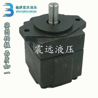 SCENERY油泵HONGYI XIANDING JULI dekema PV2R2-26-F-R 33 41 47