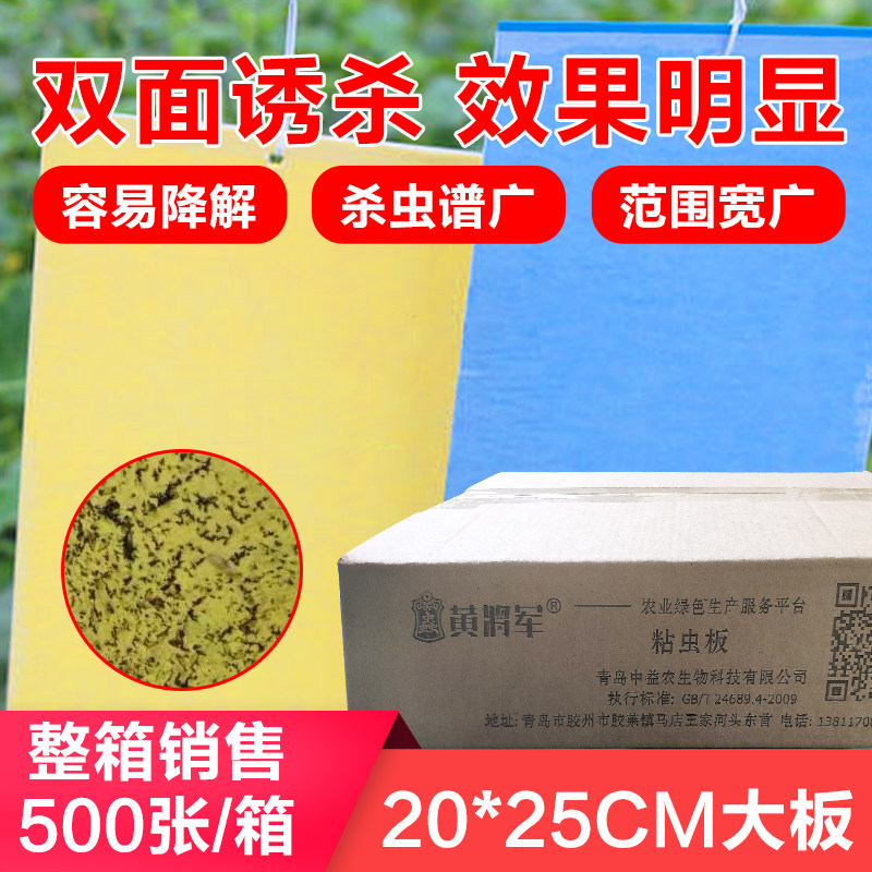 诱虫板 杀蚜虫粉虱除小飞虫蓟马粘虫板 杀虫 性诱剂
