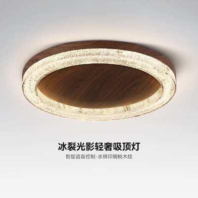 ceiling light客厅树脂冰裂纹吸顶灯现代简约高端设计师中古风