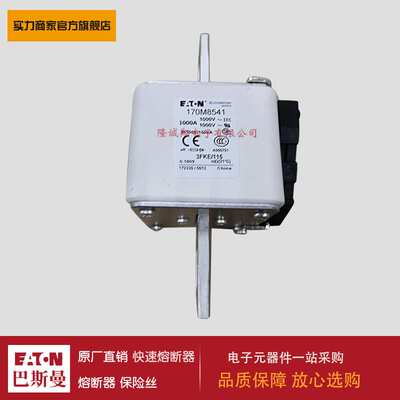 熔断器170M8538 170M8539 170M8540 170M8541 170M8542 170M8543