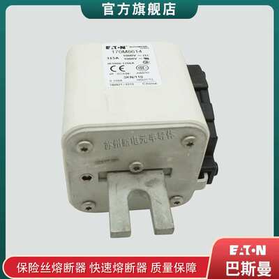 170M8614 8615 8616 8617 8618 巴斯曼bussmann快速熔断器保险丝