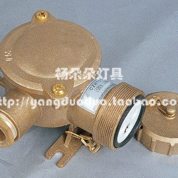 船用金属铜质插座CZH101-1/2/3/4/5防水密封插头10A/16A现货